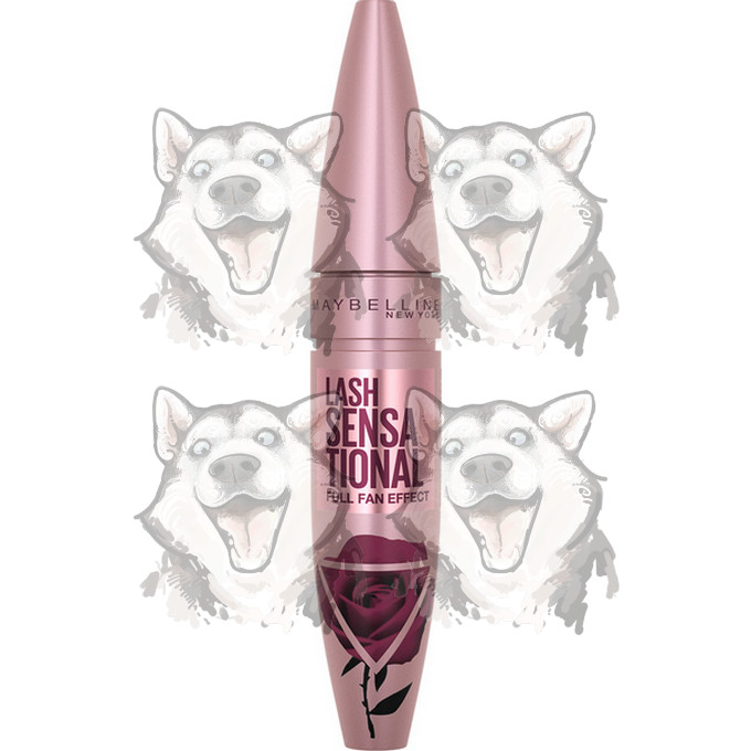 Lash sensa tional store